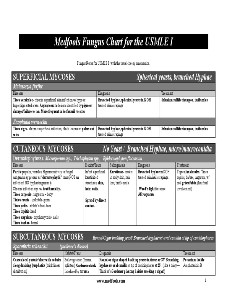 Medfools Fungus | PDF | Candidiasis | Organisms
