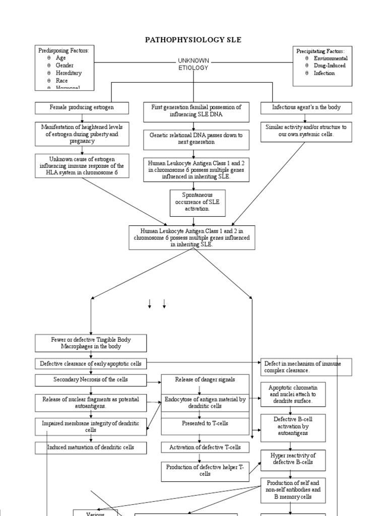 Systemic Lupus Erythematosus Pathophysiology | Systemic Lupus ...