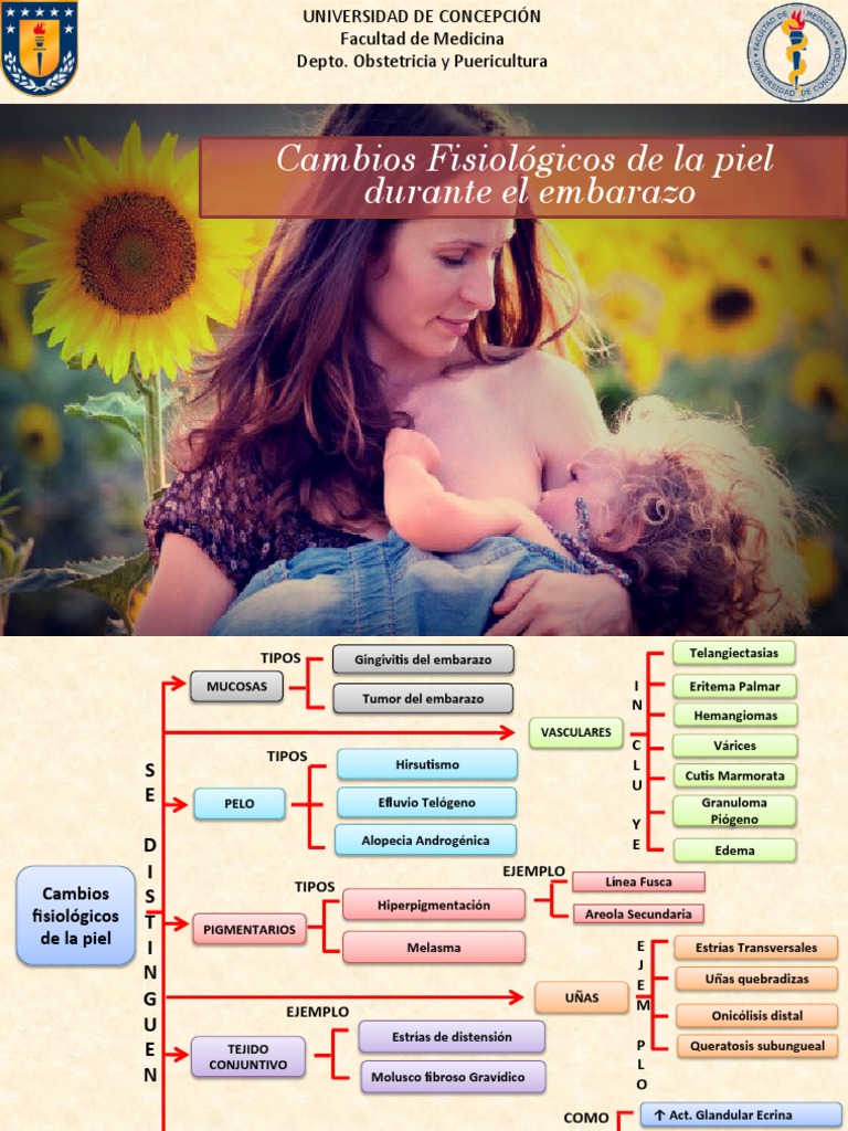 Mapa Conceptual, Cambios en La Piel y Tejido Subcutáneo - Obstetricia PDF | PDF | Piel | El embarazo