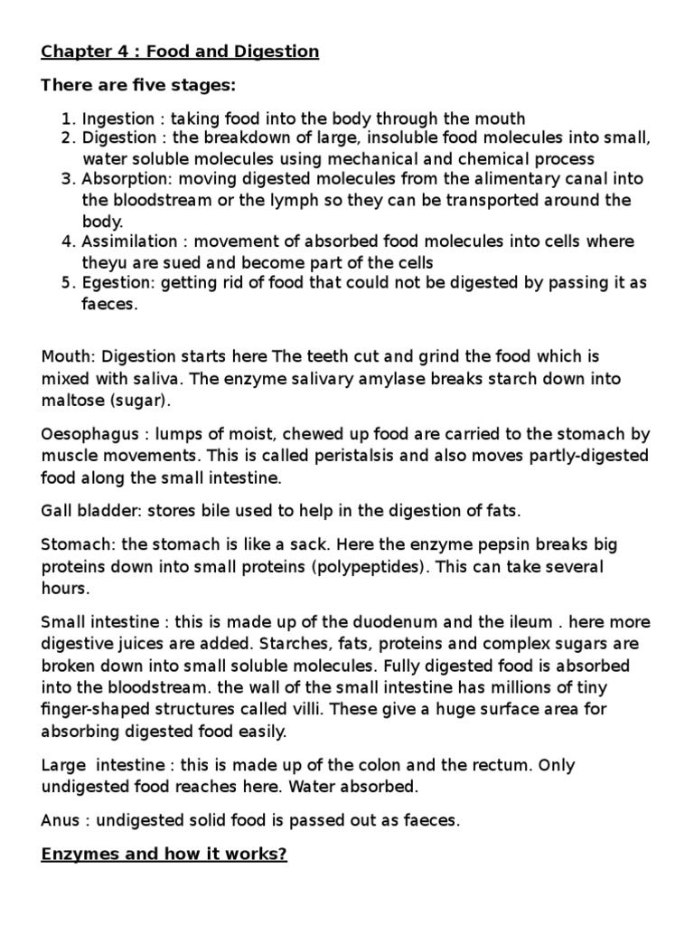Food Digestion Process Explained | PDF | Digestion | Gastrointestinal Tract