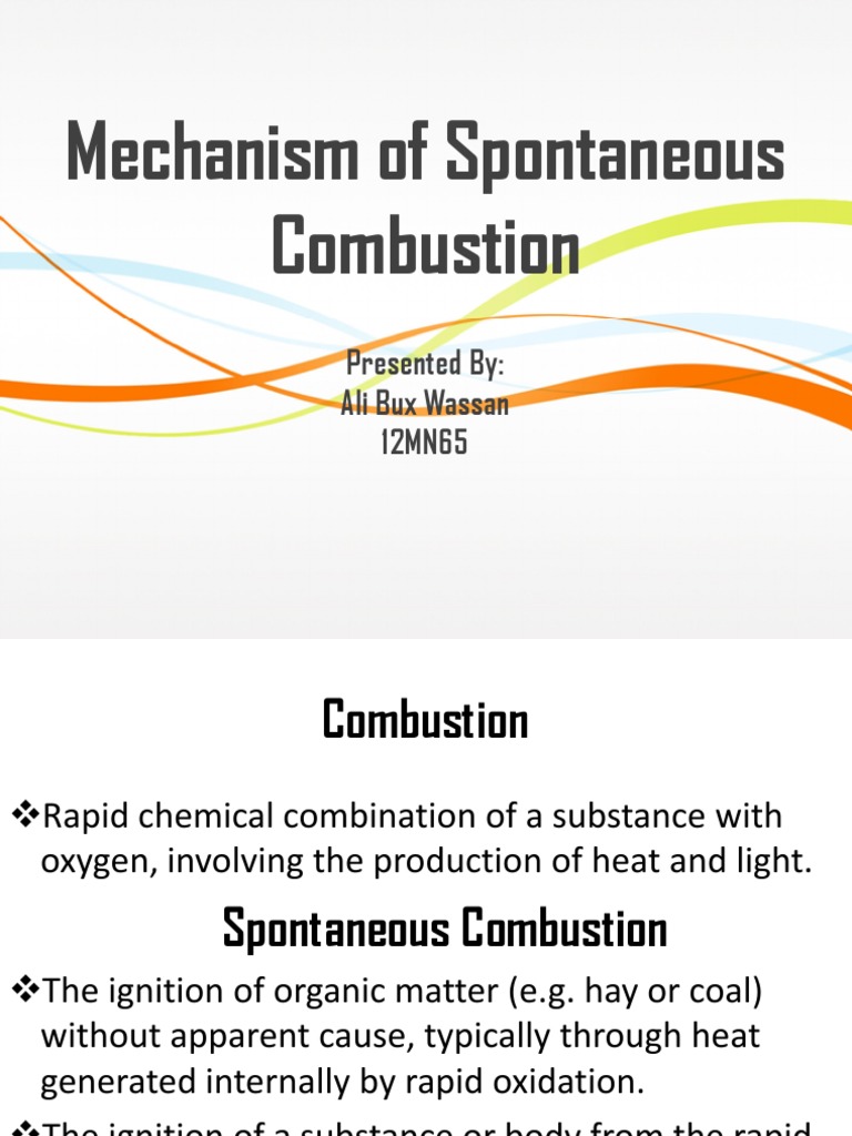 Understanding the Mechanism and Factors Influencing Spontaneous ...