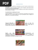 Medidas de Estafeta y Vallas | PDF | Deporte del atletismo | Carreras