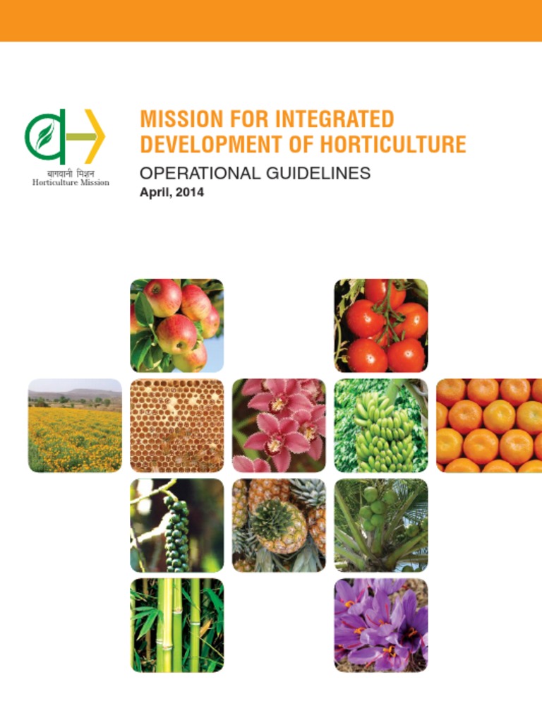 Harticulture Development | PDF | Plant Nursery | Horticulture