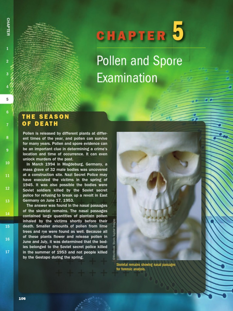 05 Pollen Spore Examination | PDF | Pollination | Pinophyta