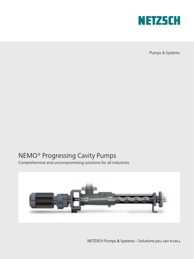 NEMO Progressing Cavity Pumps | PDF | Pump | Flow Measurement