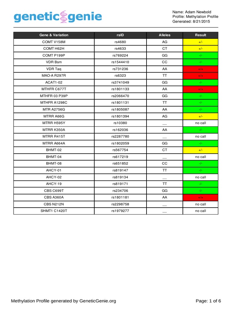 Genetic Genie Methylation Profile | PDF | Mutation | Single Nucleotide ...
