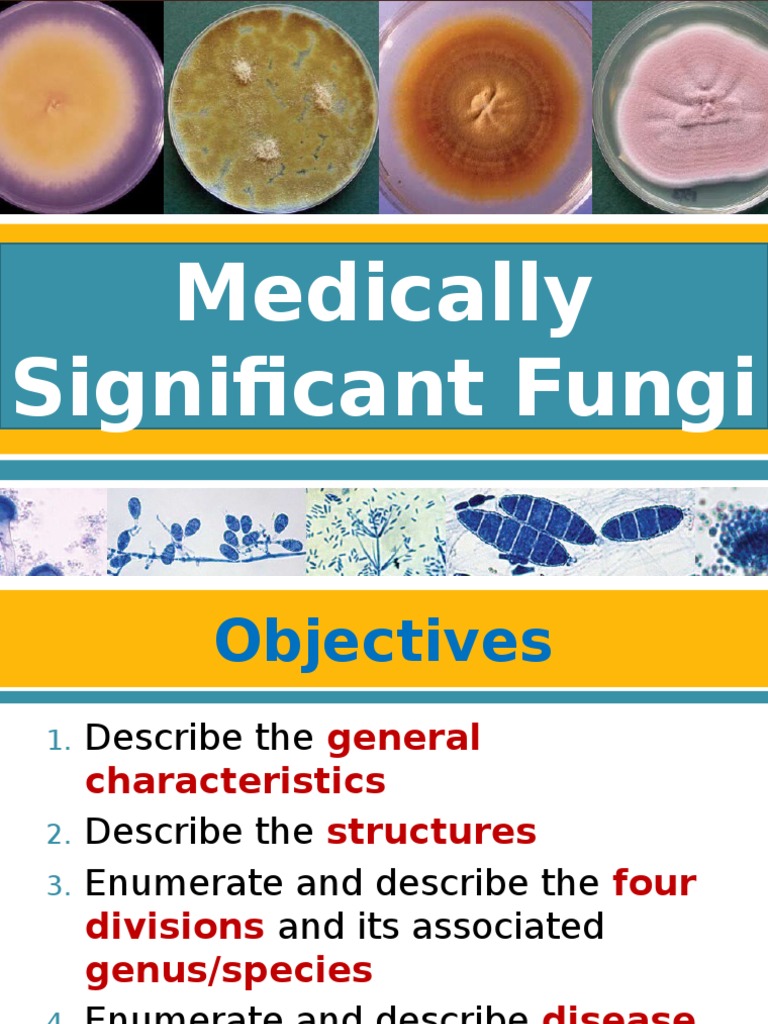 Medically Significant Fungi | PDF | Mold | Microorganism