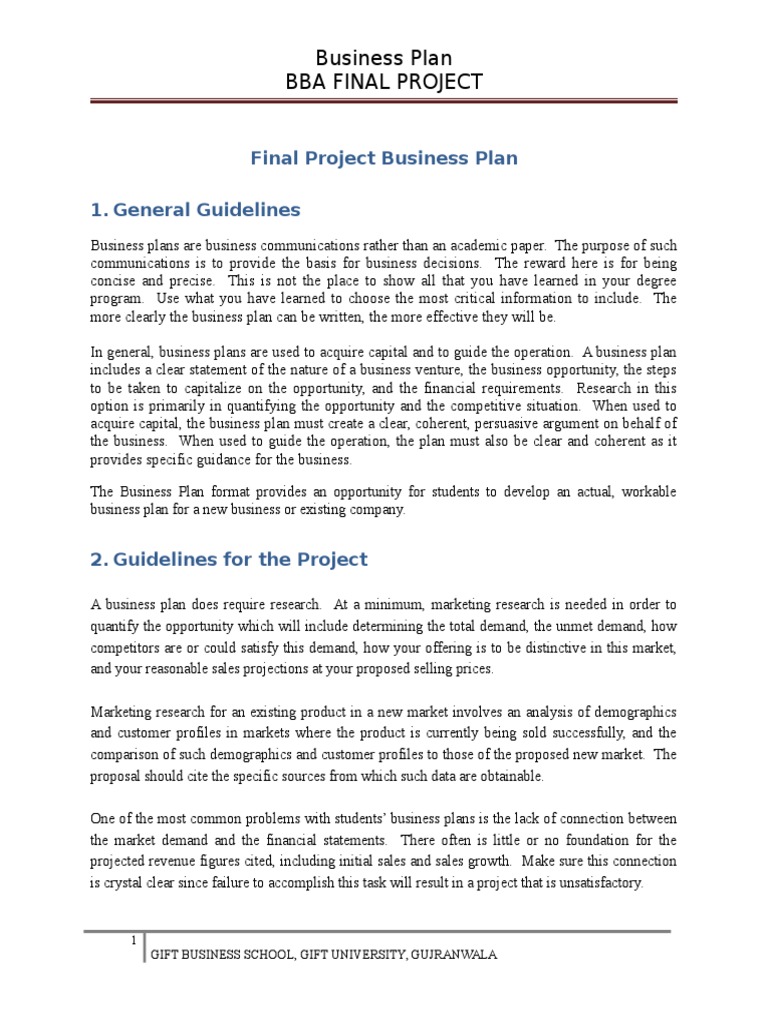 Final Project Business Plan 1. General Guidelines | PDF | Strategic ...