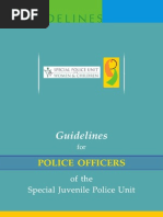 District Child Protection Unit Overview | PDF | Foster Care | Child ...