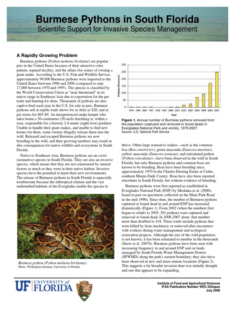 Burmese Pythons in South Florida | PDF | Organisms | Nature