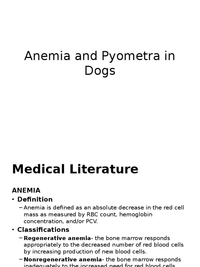 Anemia and Pyometra in Dogs | PDF | Anemia | Health Sciences