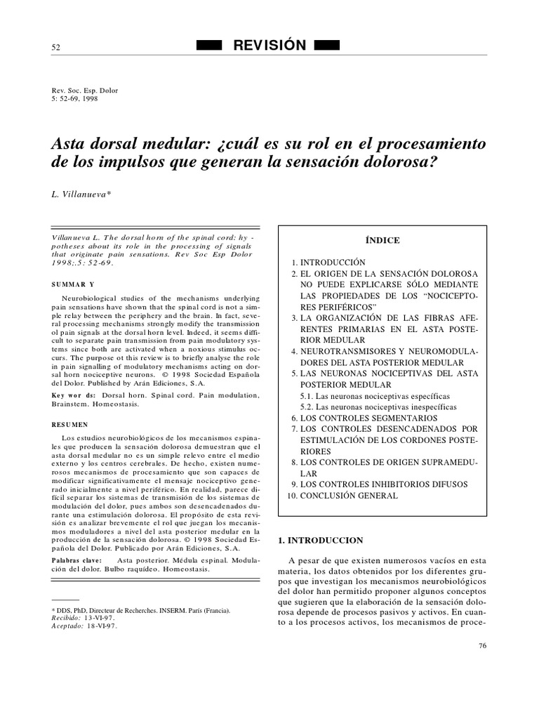 Asta Posterior de La Medula Espinal y Dolor | PDF