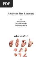 5 Parameters of ASL Explained | PDF | American Sign Language | Human ...