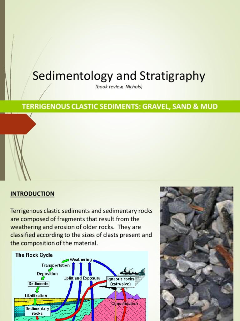 Terrigenous Clastic Sedimentology | PDF