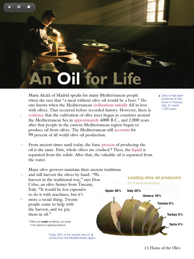 Sofrito Sensation | PDF | Olive | Olive Oil