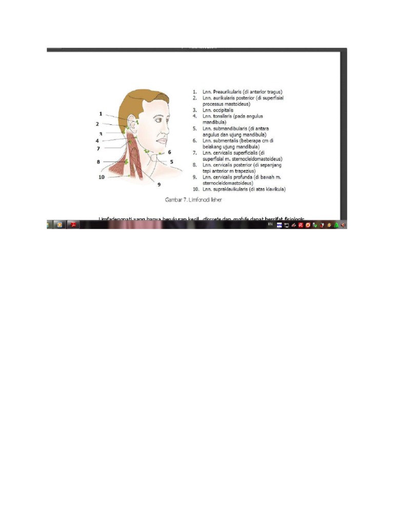 Limfonodi | PDF