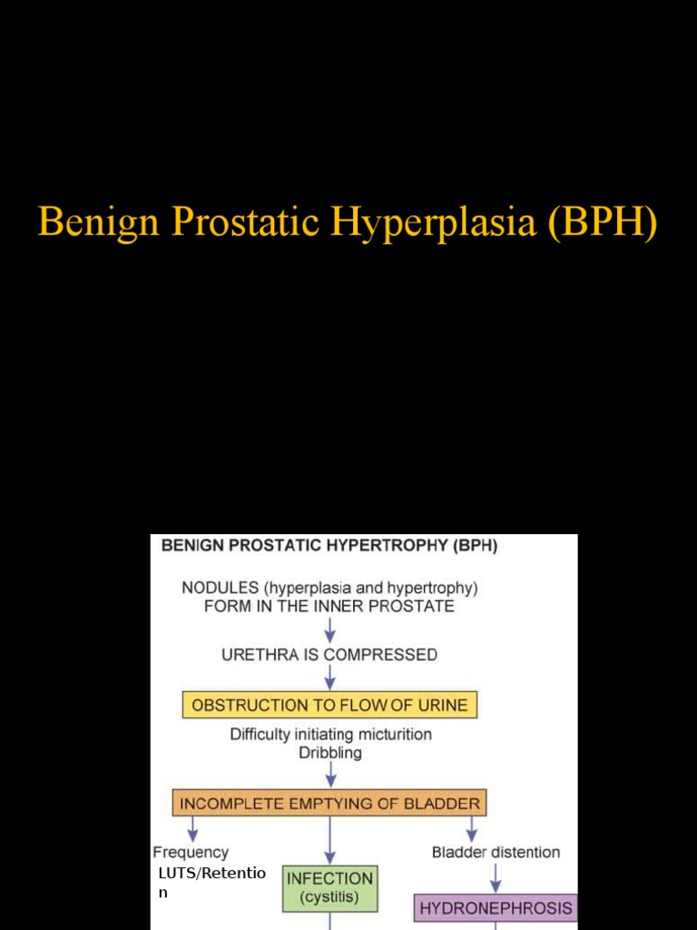 BPH and Treatment | PDF | Prostate | Pharmacology