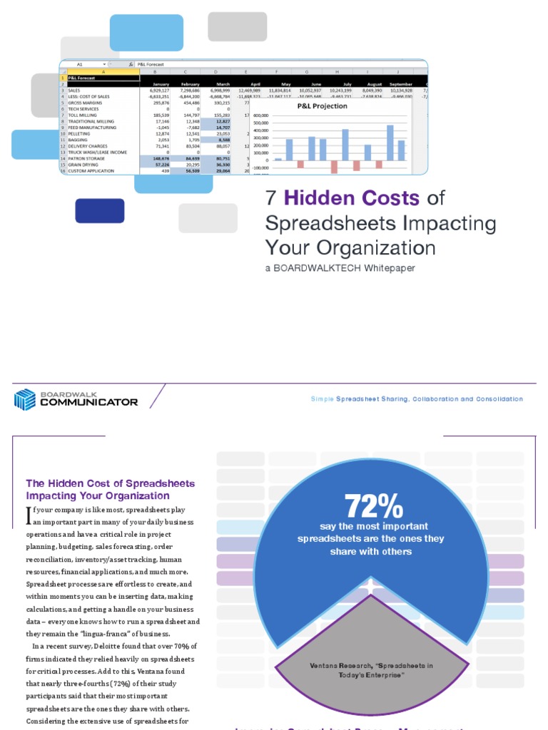 7 Hidden Cost of Spreadsheet PDF | PDF