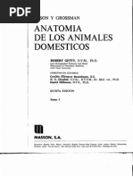Quiroz - Libro de Anatomía Humana | PDF