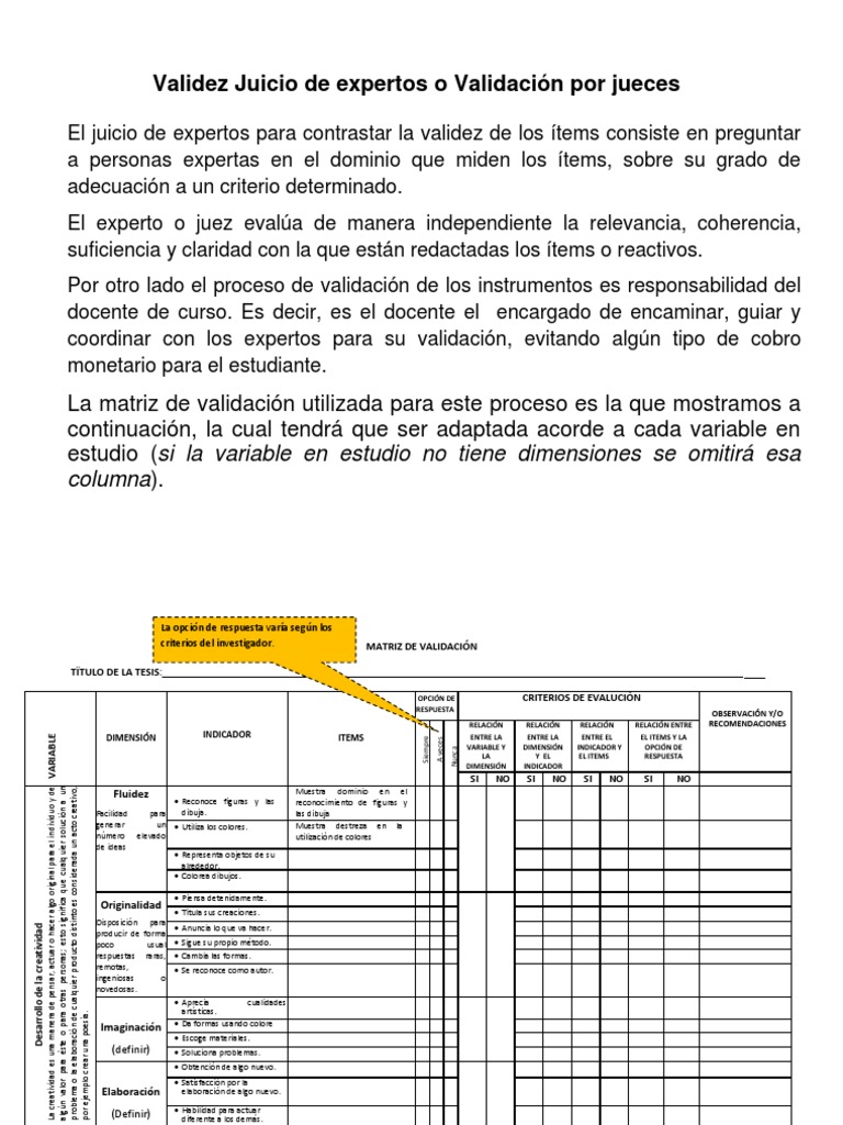 Matriz de Validaci N Por Criterio de Experto. | PDF