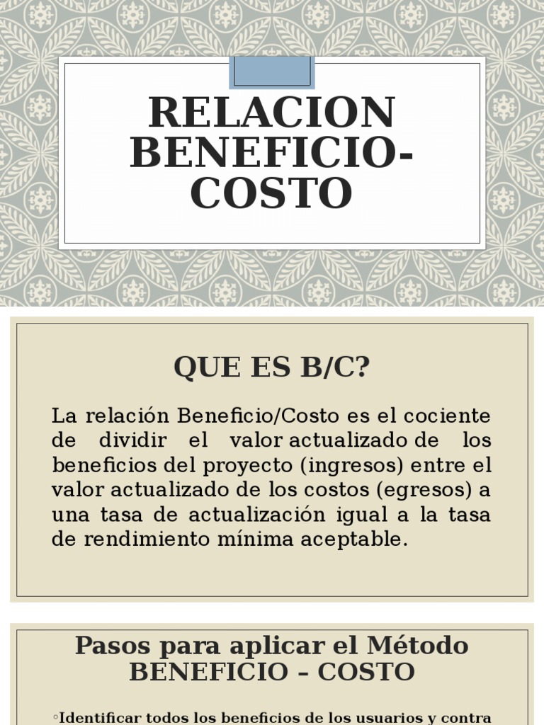 Relación Beneficio-Costo: Definición y Ejemplos | PDF