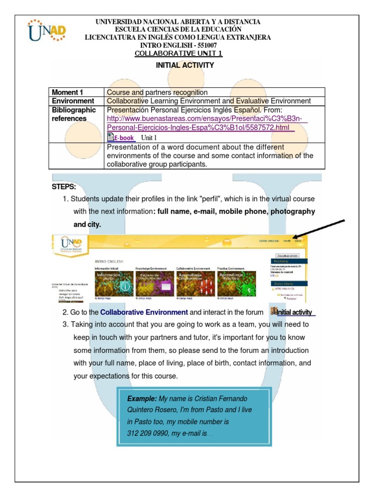 1.a Initial Activity Intro English UNAD | PDF | Human Communication ...