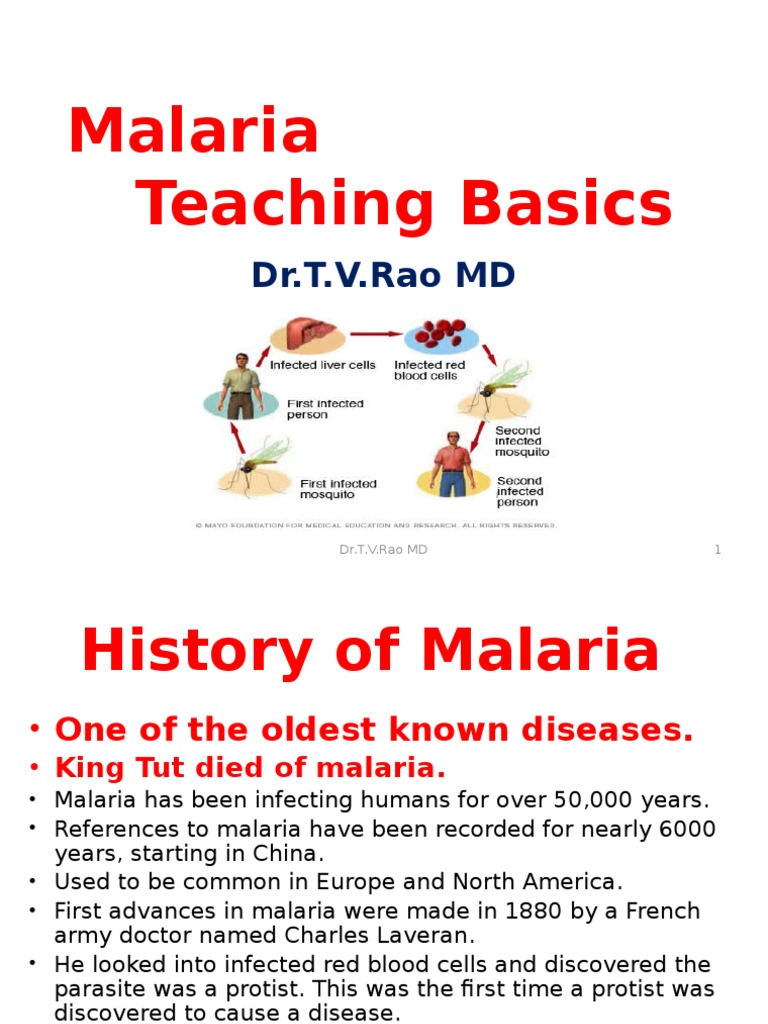 MALARIA TEACHING BASICS by Dr.T.V.Rao MD | PDF | Malaria | Plasmodium