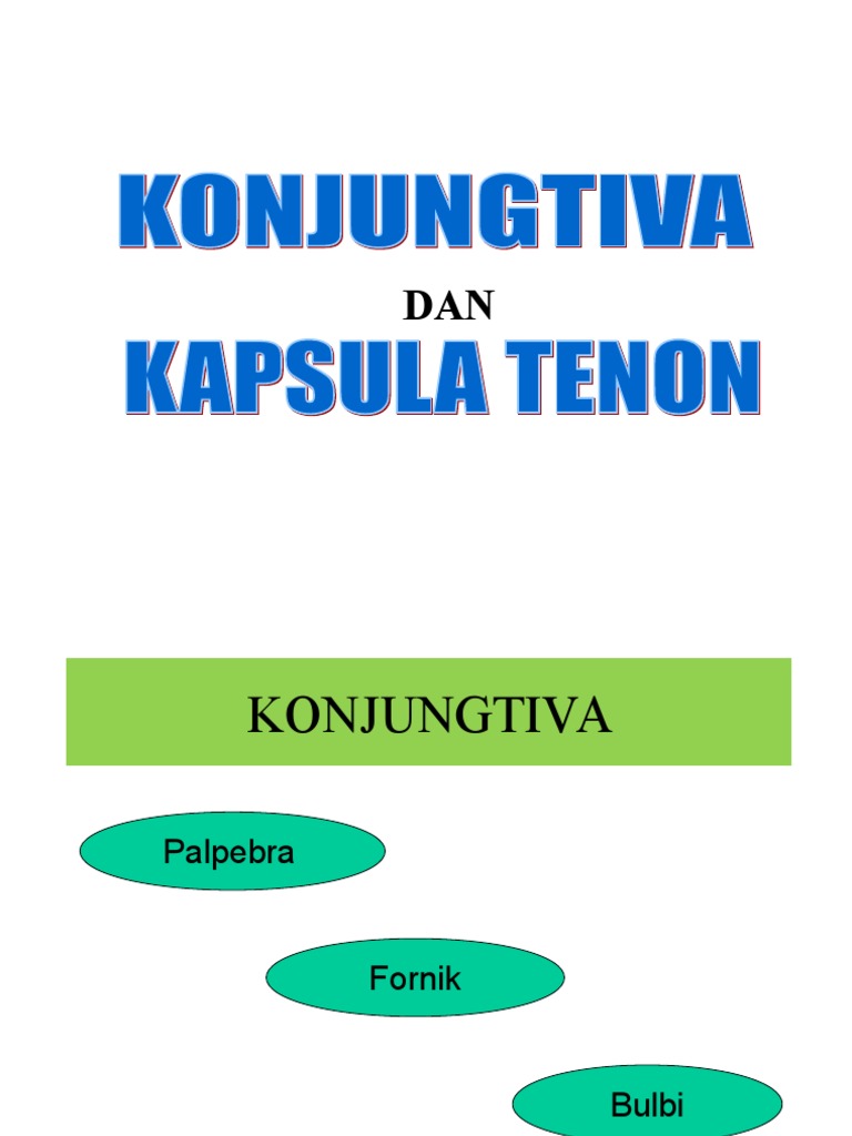 Konjuntiva Dan Kapsula Tenon | PDF