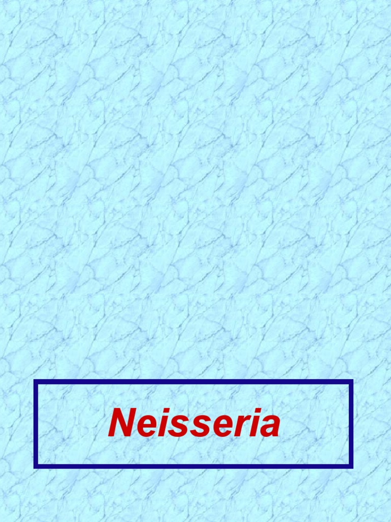 General Characteristics of Neisseria Spp. | Microbiology | Public Health