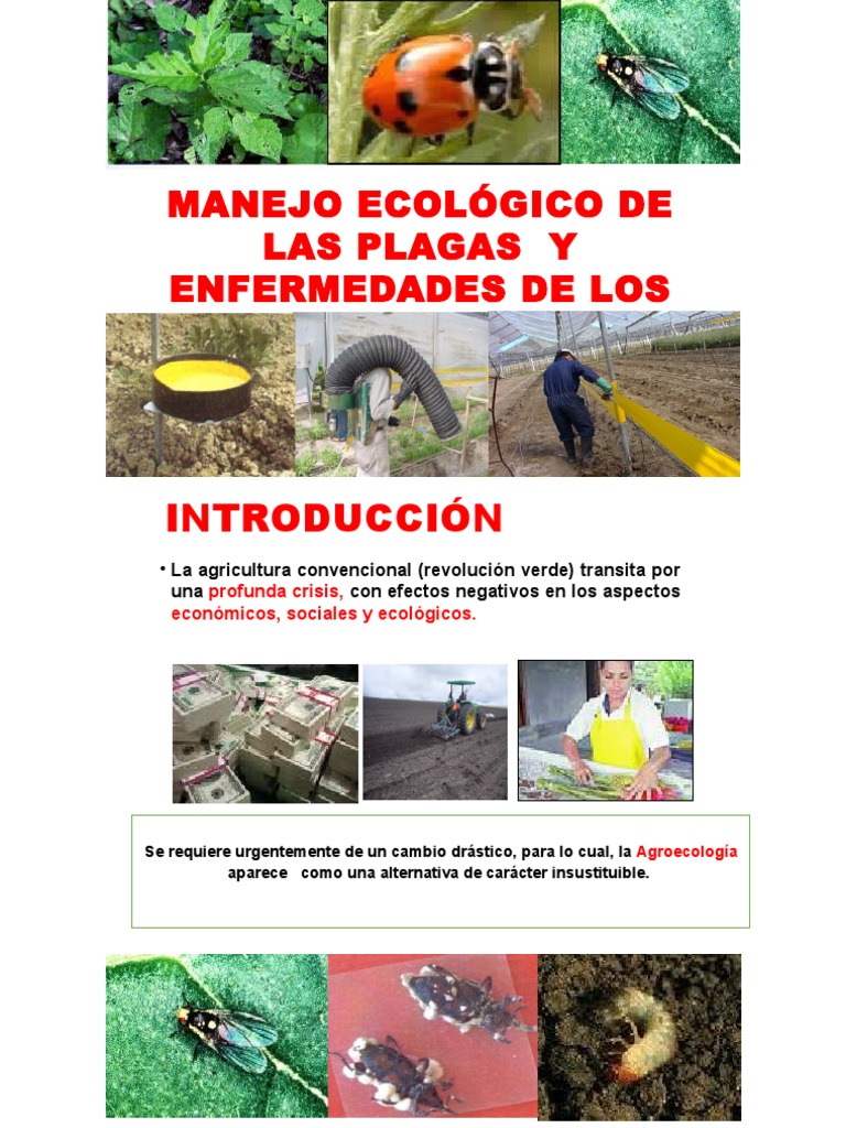 Manejo Ecologico de Plagas (Metodos) | PDF | Plaga (organismo) | Insectos