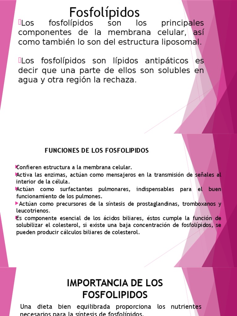 FOSFOLIPIDOS | Medicina | Química
