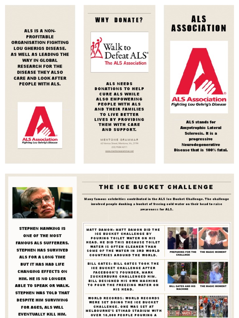 Als Association Brochure | PDF