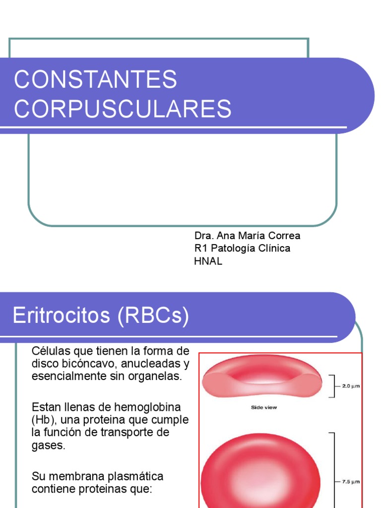 Clase 2 - Constantes Corpusculares | PDF | Glóbulo rojo | Sangre