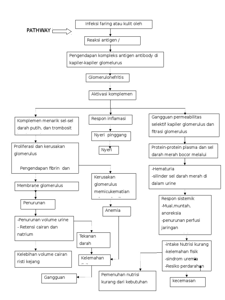 Pathway | PDF | Kesehatan Holistik | Sains & Matematika