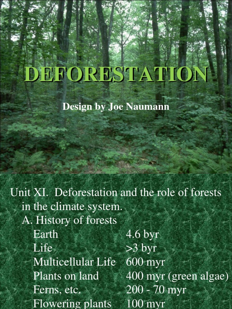 Unit10 Deforestation | PDF | Forests | Deforestation