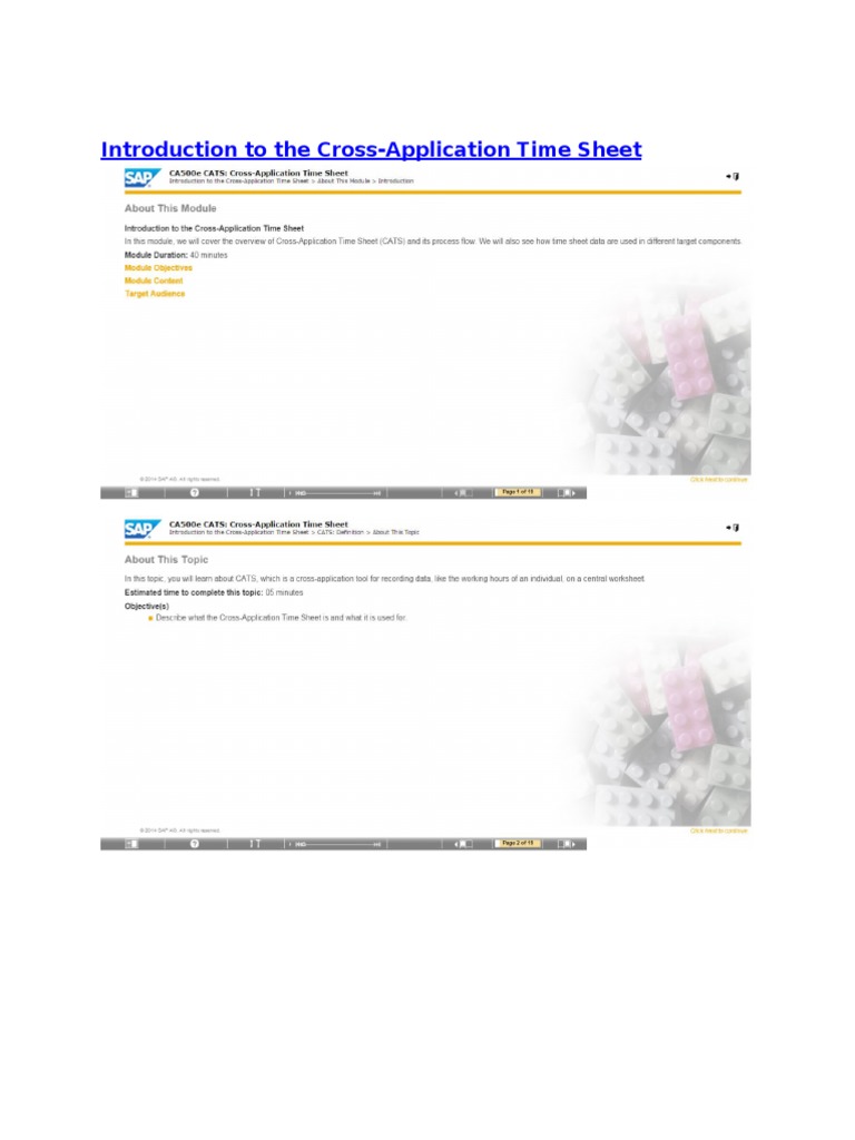 CATS Cross-Application Time Sheet - Overview | PDF | Business Process ...