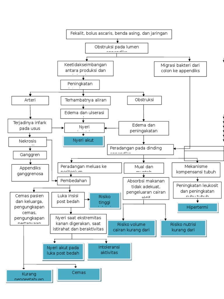 Pathway Apendisitis | PDF