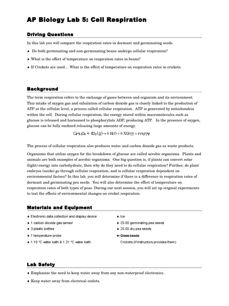 AP Lab 5 Cellular Respiration | PDF | Cellular Respiration | Adenosine ...