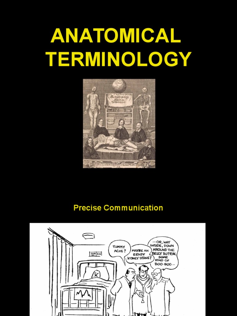 An Introduction to Anatomical Terminology: Precise Communication ...