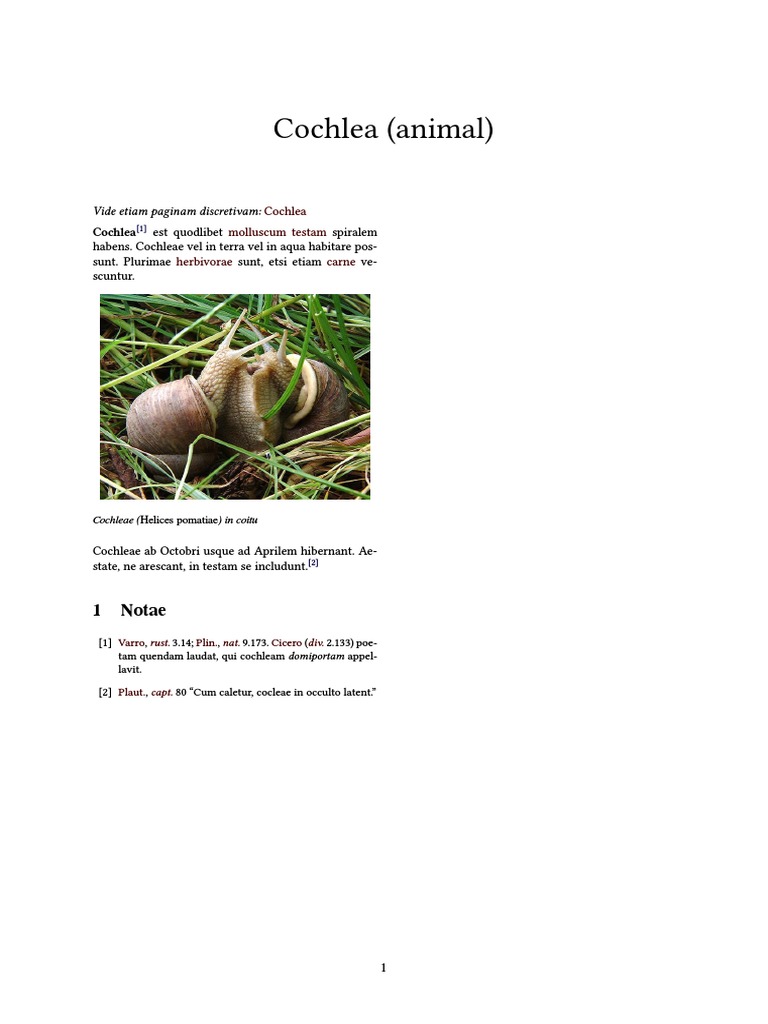Overview of Cochlea in Mollusks | PDF