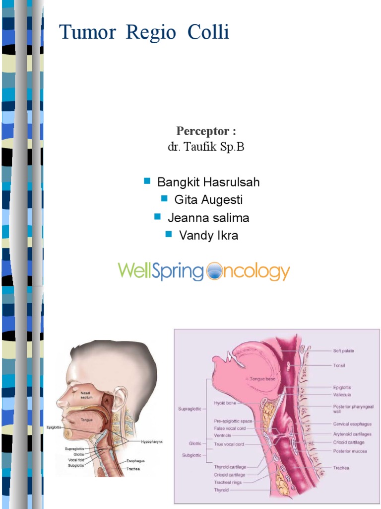 Tumor Regio Colli | PDF