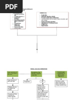 MINDMAP CKD (Chronic Kidney Disease) | PDF
