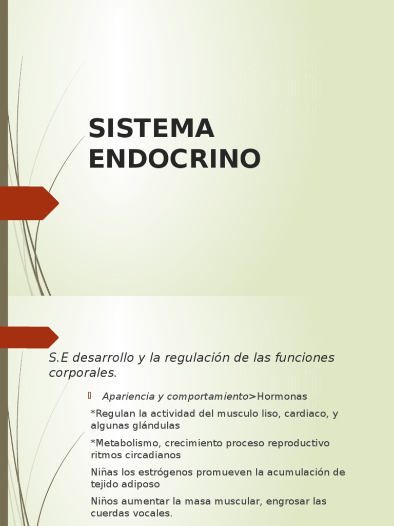 Sistema Endocrino | PDF | Hormona estimulante de la tiroides | Hormona