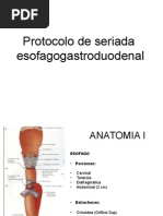 Triangulo de Farabeuf | PDF | Anatomía humana | Cabeza y cuello humanos