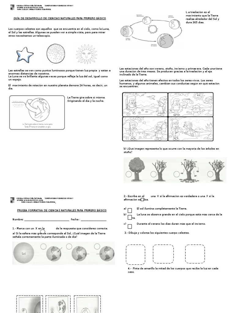 Guía de Ciencias Naturales 1° Básico | PDF | Ciencia y matemáticas