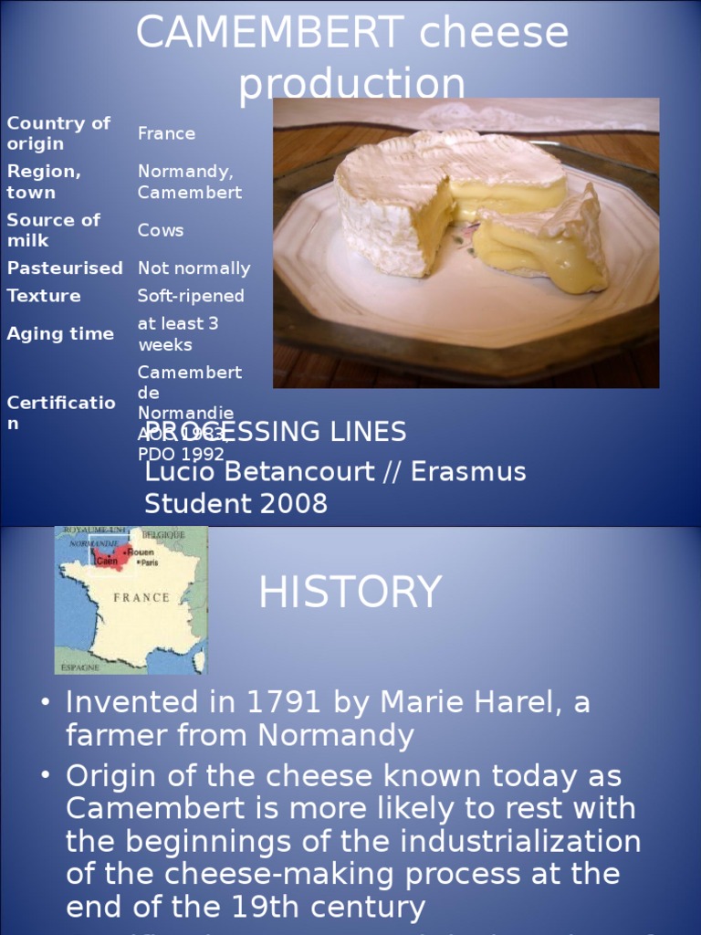 CAMEMBERT Cheese Production | PDF | Cheese | Dairy