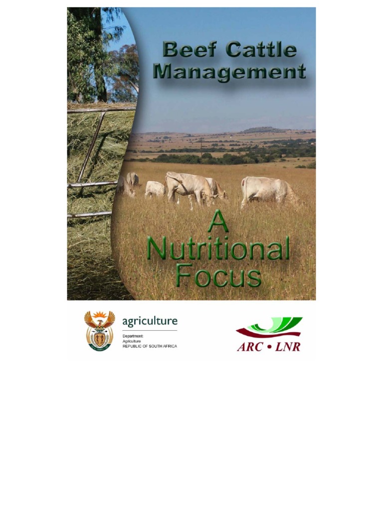 Beef Cattle Management PDF | PDF | Home & Garden | Wellness