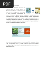 Qué es la pasta base y sus efectos | PDF | Cocaína