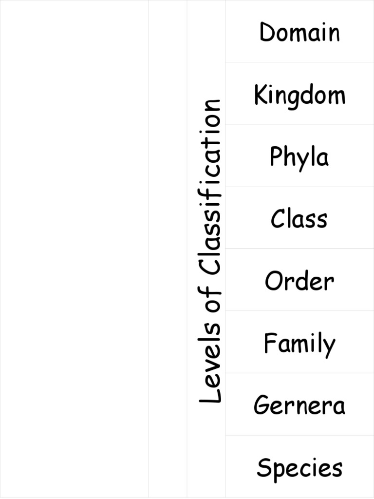 Levels of Classification Flip Book | PDF | Taxa | Biological Classification