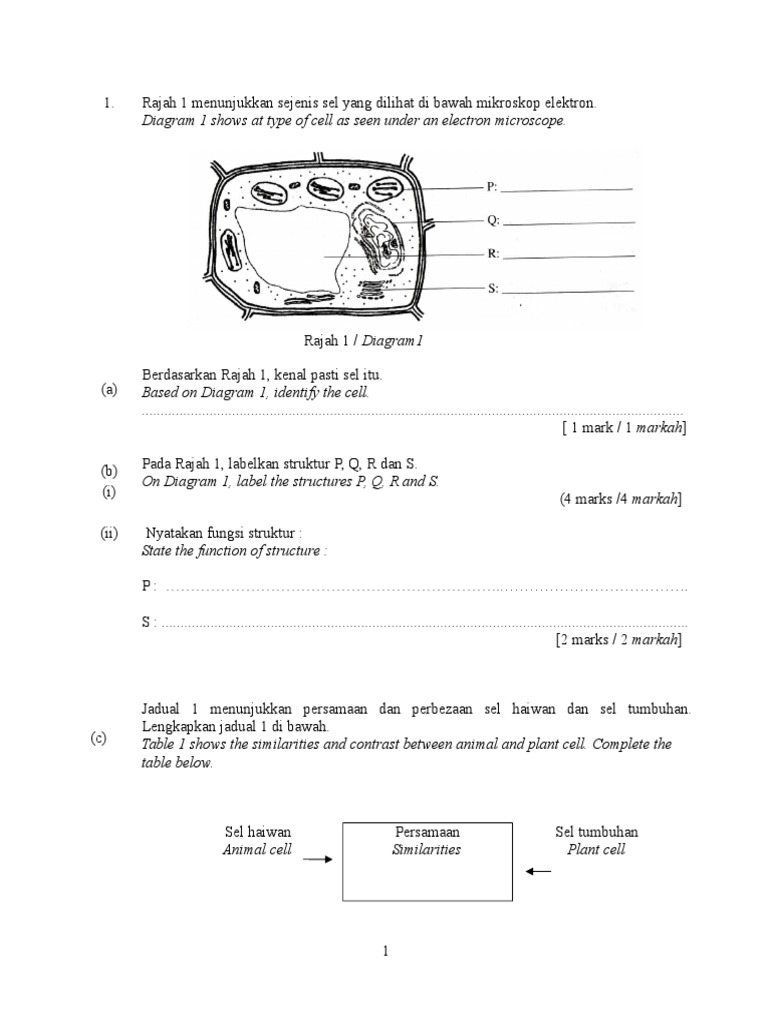 Paper 2 Question Biology SPM | PDF